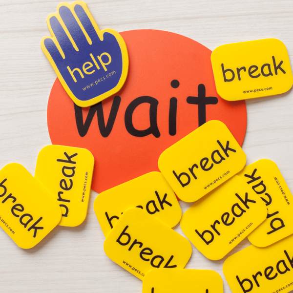 Break Cards | Pyramid Educational Consultants