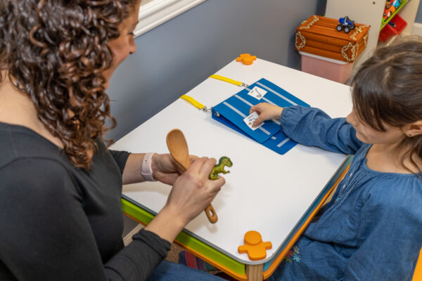 What are the 6 Phases of PECS? - Pyramid Educational Consultants