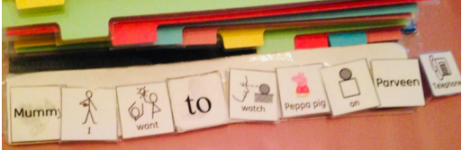 PECS Level 2 Training - Pyramid Educational Consultants